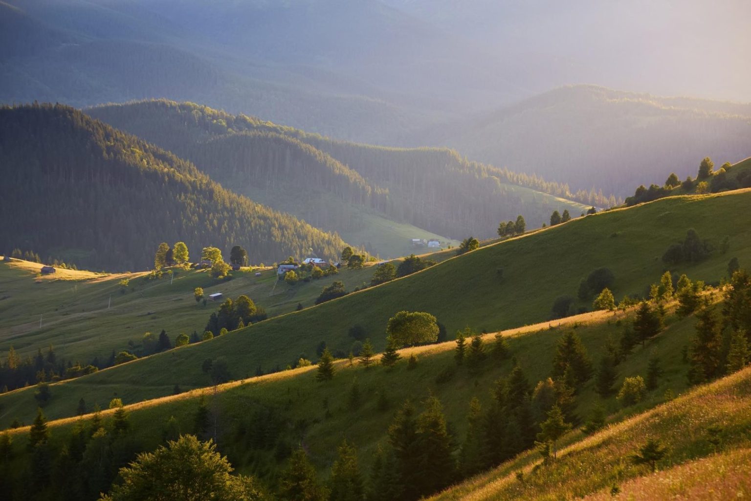 Carpathian nature reserves and nature protection