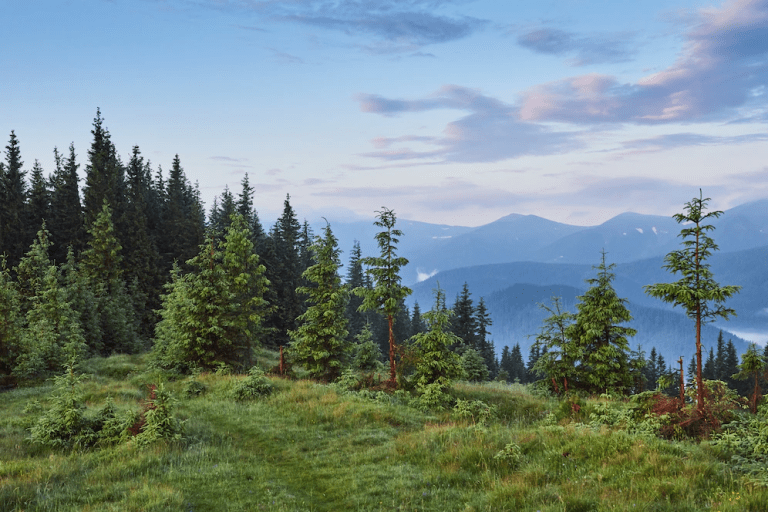 Carpathian nature reserves and nature protection