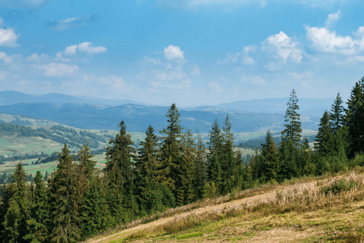 Carpathians in summer. The best places for summer vacation - Stara Pravda